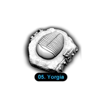 Yorgia model miniature – OUMCRAFT