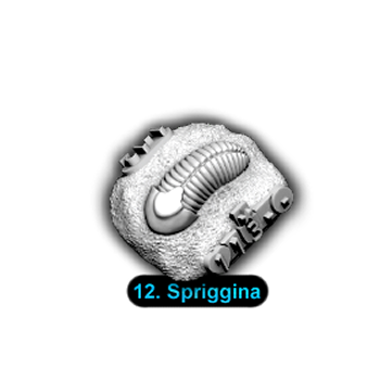 Spriggina model miniature – OUMCRAFT