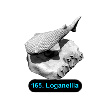 [4-02] Loganellia – OUMCRAFT
