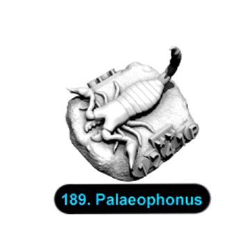 [4-39] Palaeophonus – OUMCRAFT