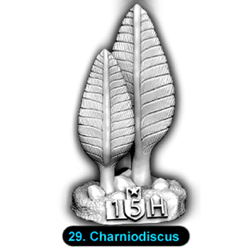 No.029 Charniodiscus – OUMCRAFT