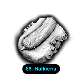 No.086 Halkieria – OUMCRAFT